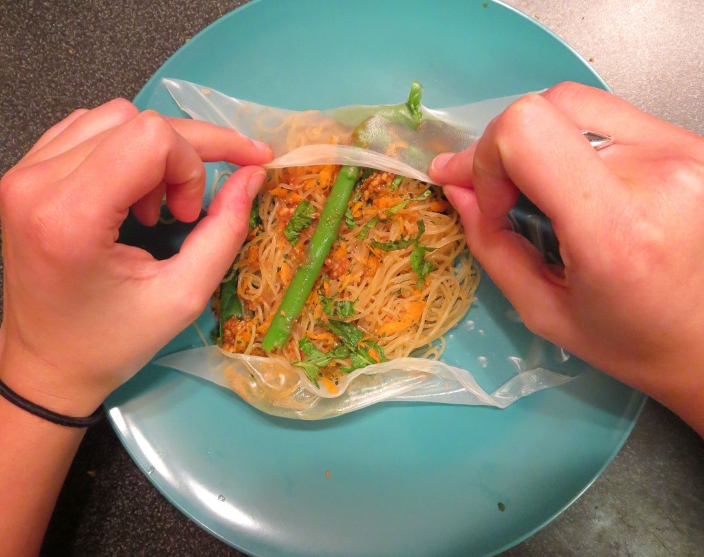 DIY springtime spring rolls | Terrace Views